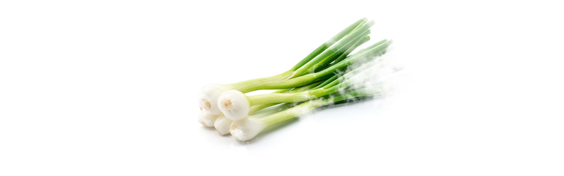 Spring Onion | Crest For Agricultural Development