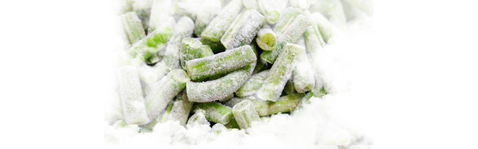 frozen Green Beans | Crest For Agricultural Development