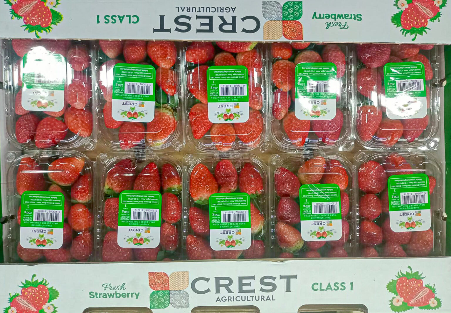 Home | Crest For Agricultural Development